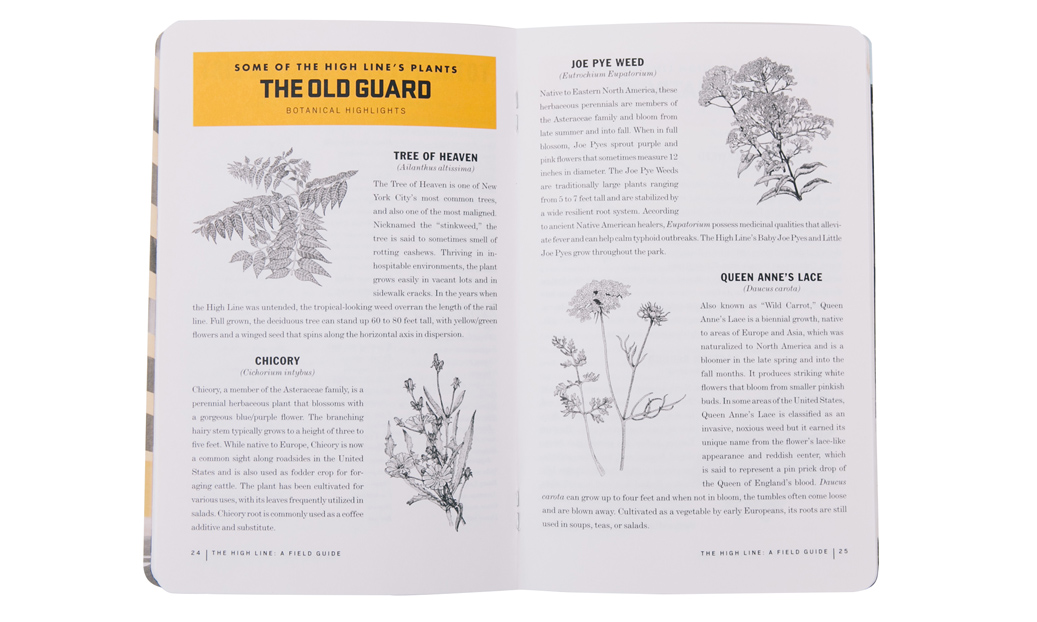 A Field Guide & Handbook | The High Line