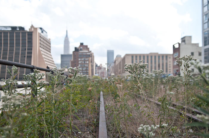 Groundbreaking at the High Line at the Rail Yards! | The High Line