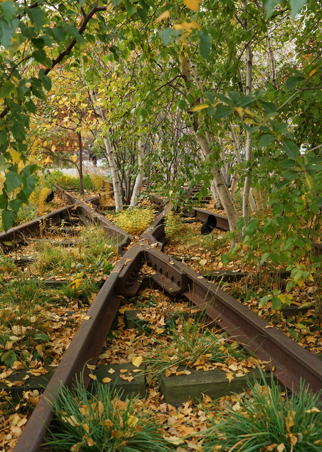 Fall | The High Line