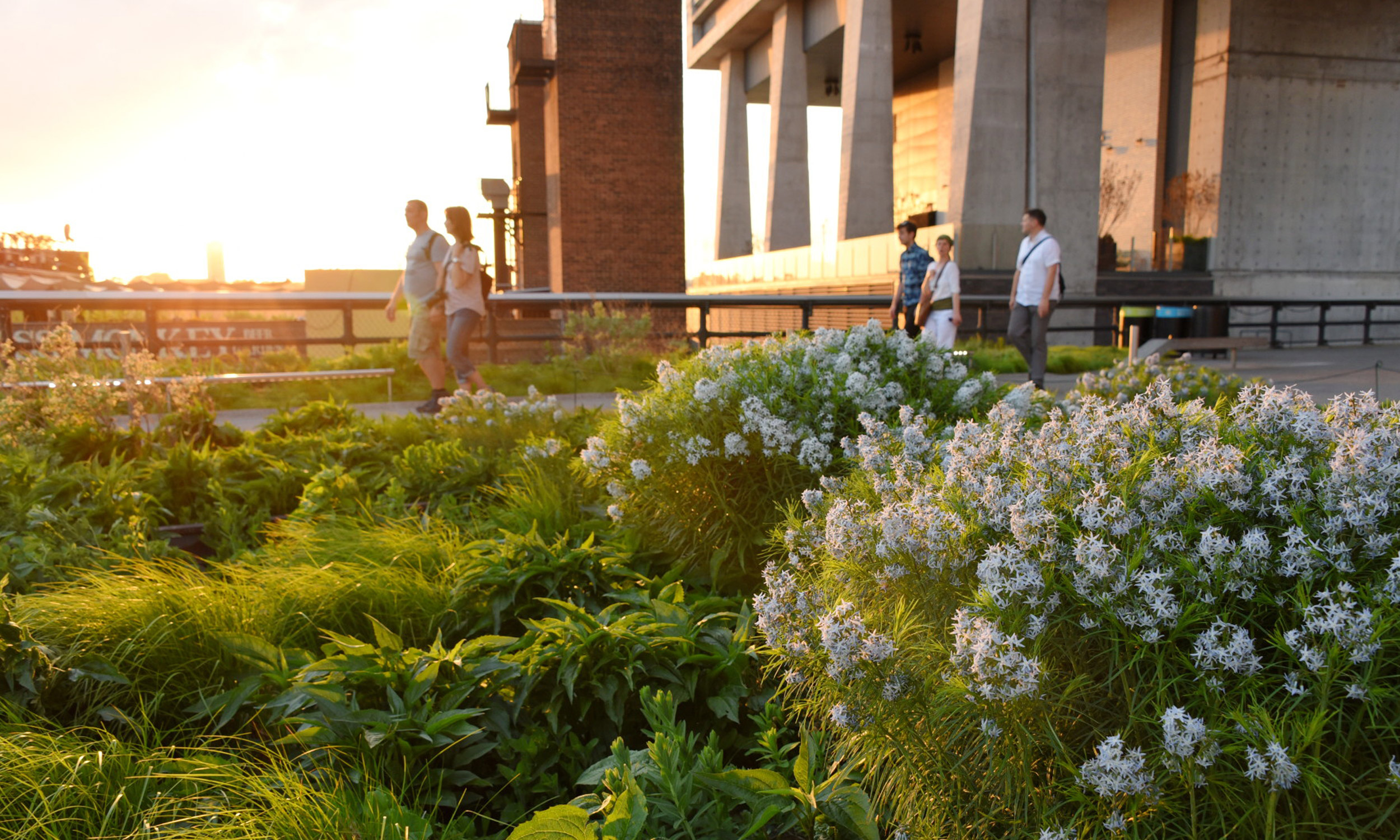 Summer | The High Line