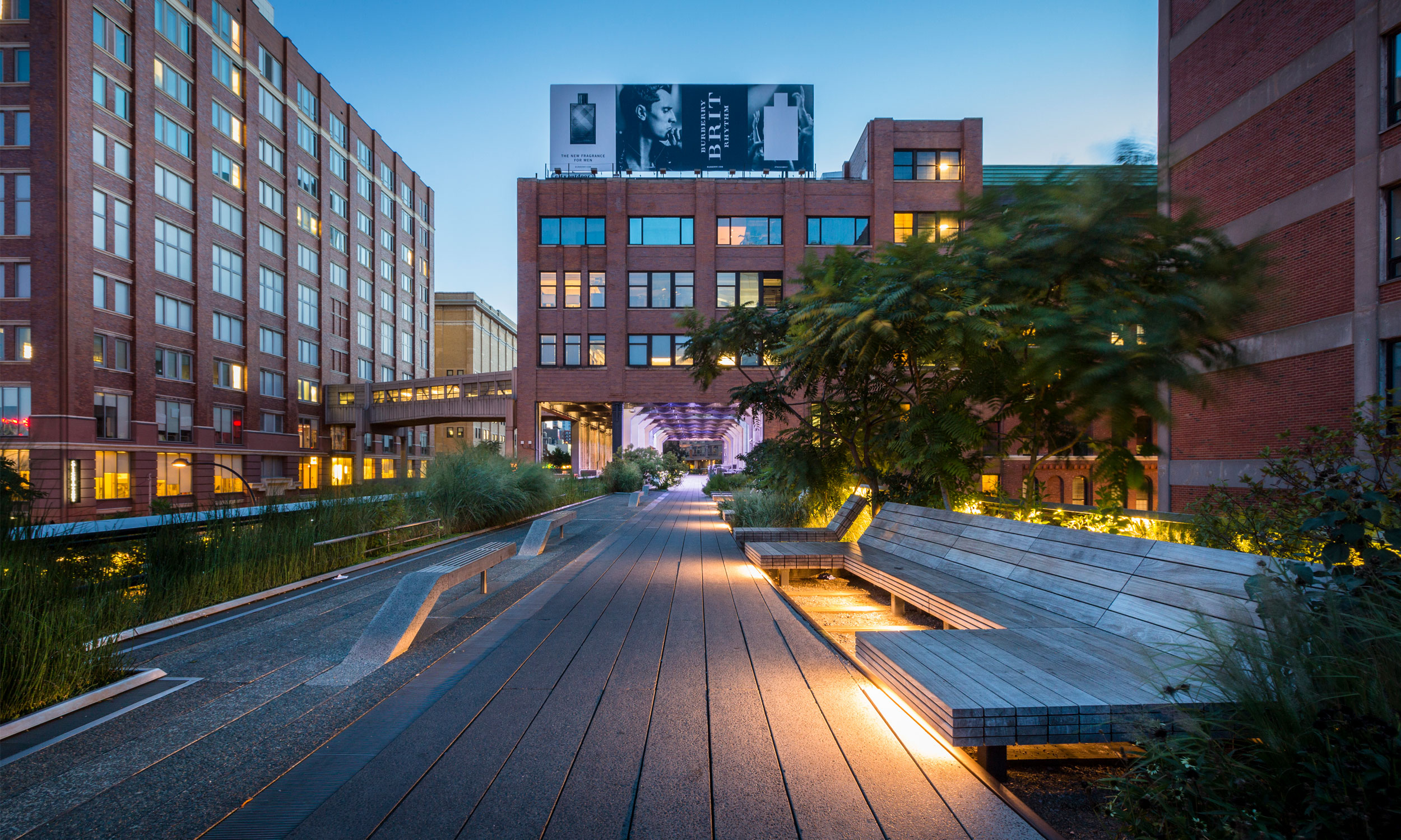 Summer | The High Line