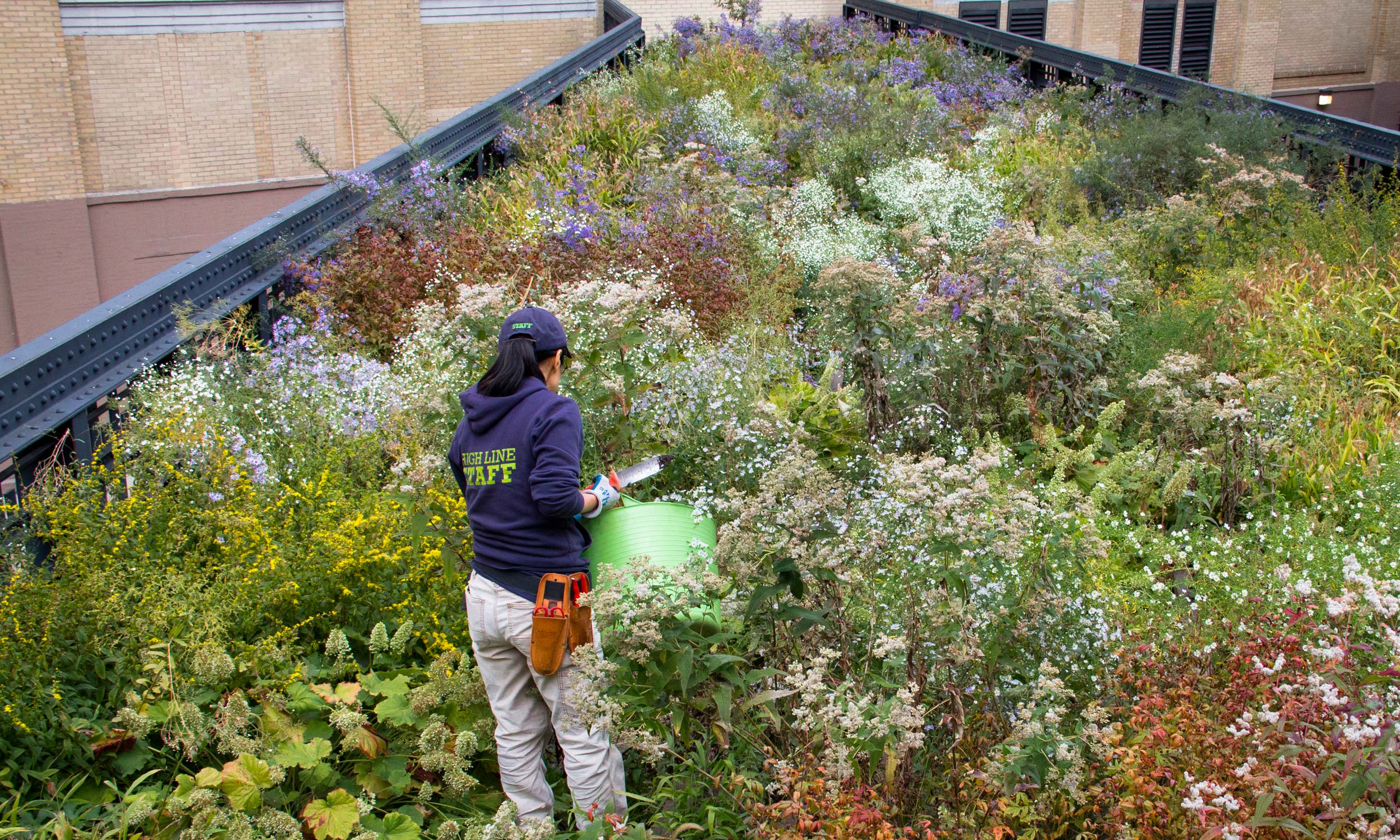 Northern Spur Preserve | The High Line