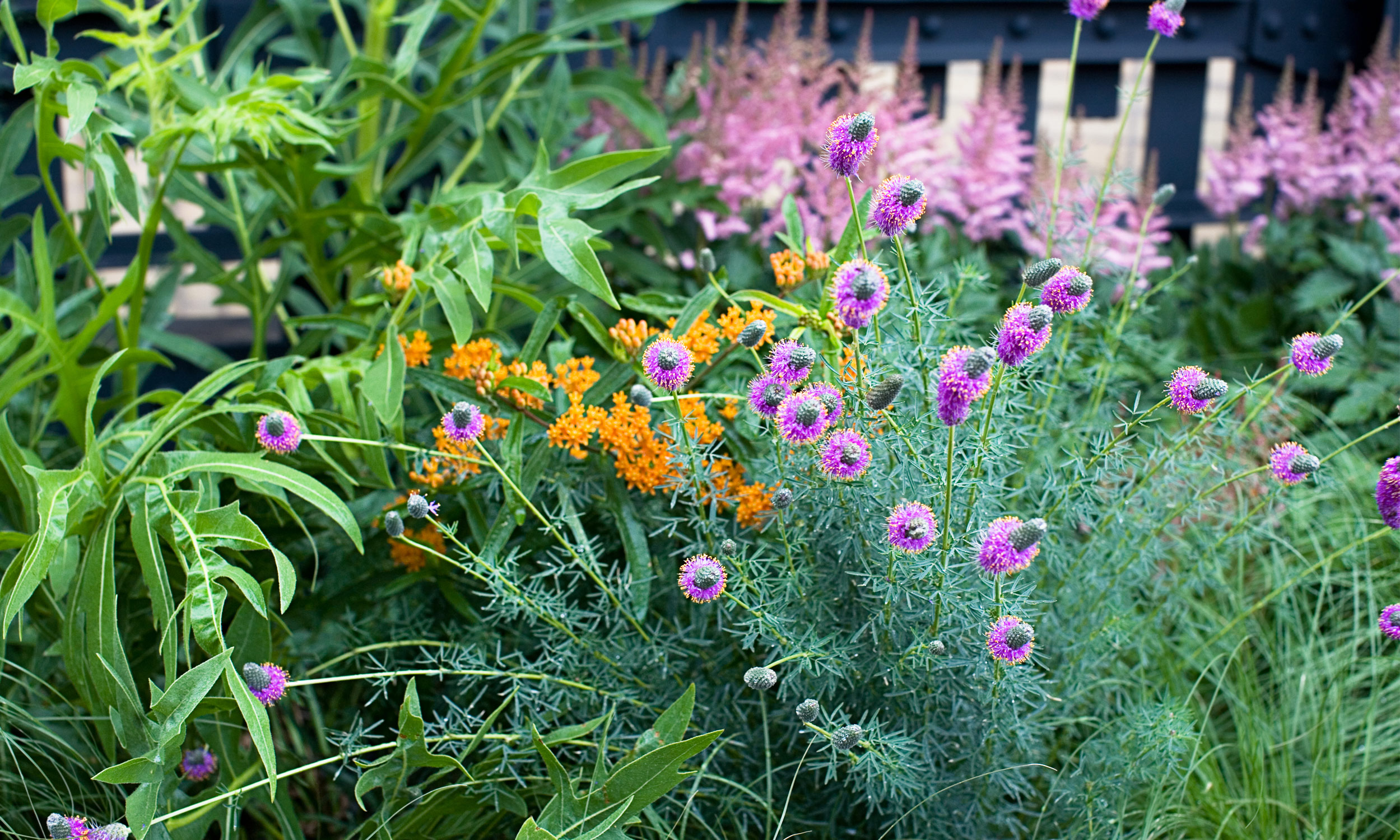 At a Glance | The High Line