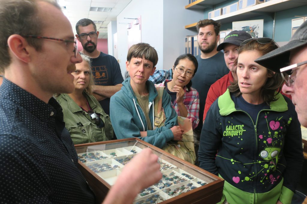 Habitat in the Sky: Studying Wild Bees on the High Line | The High Line