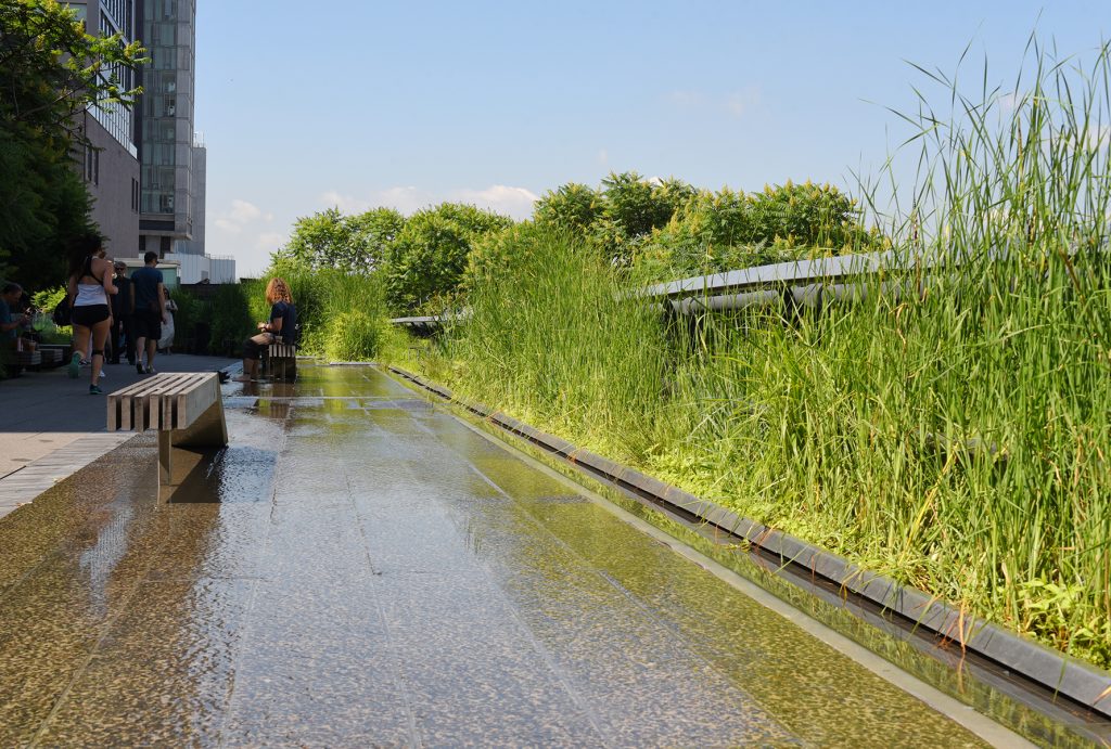 Summer Guide to the High Line | The High Line