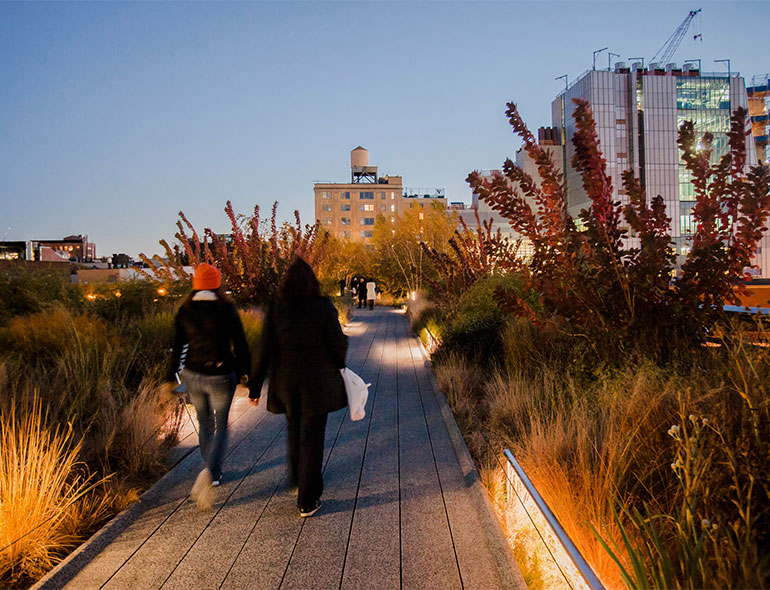 Gardening as Storytelling: Talking Medicinal Plants with Our Director ...