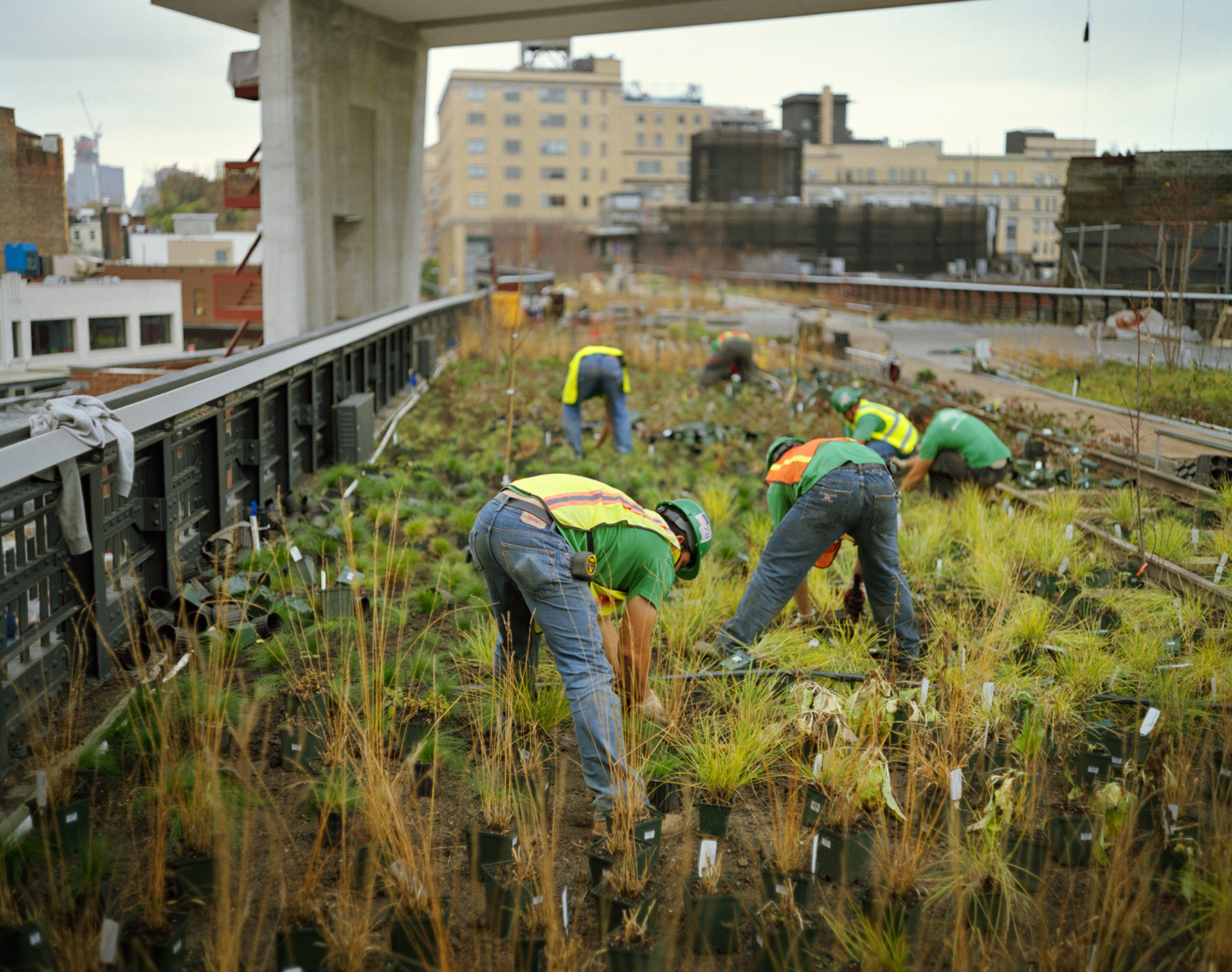 A Brief History of Chelsea with a Long-Time Resident | The High Line