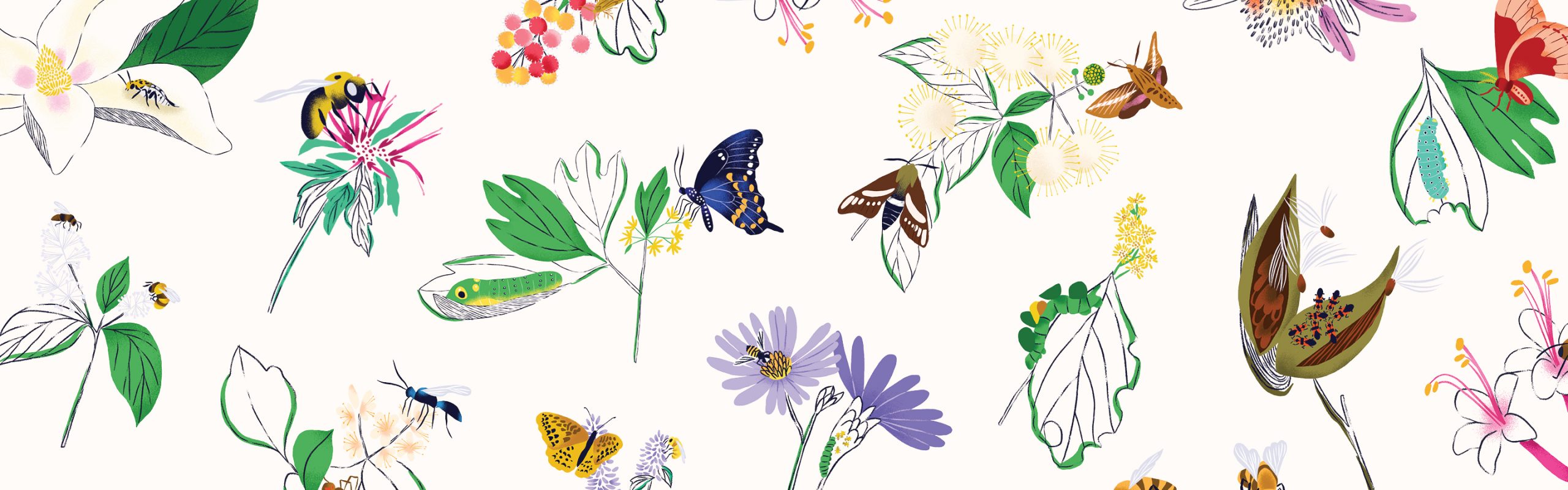 Celebrating Insects on the High Line | The High Line