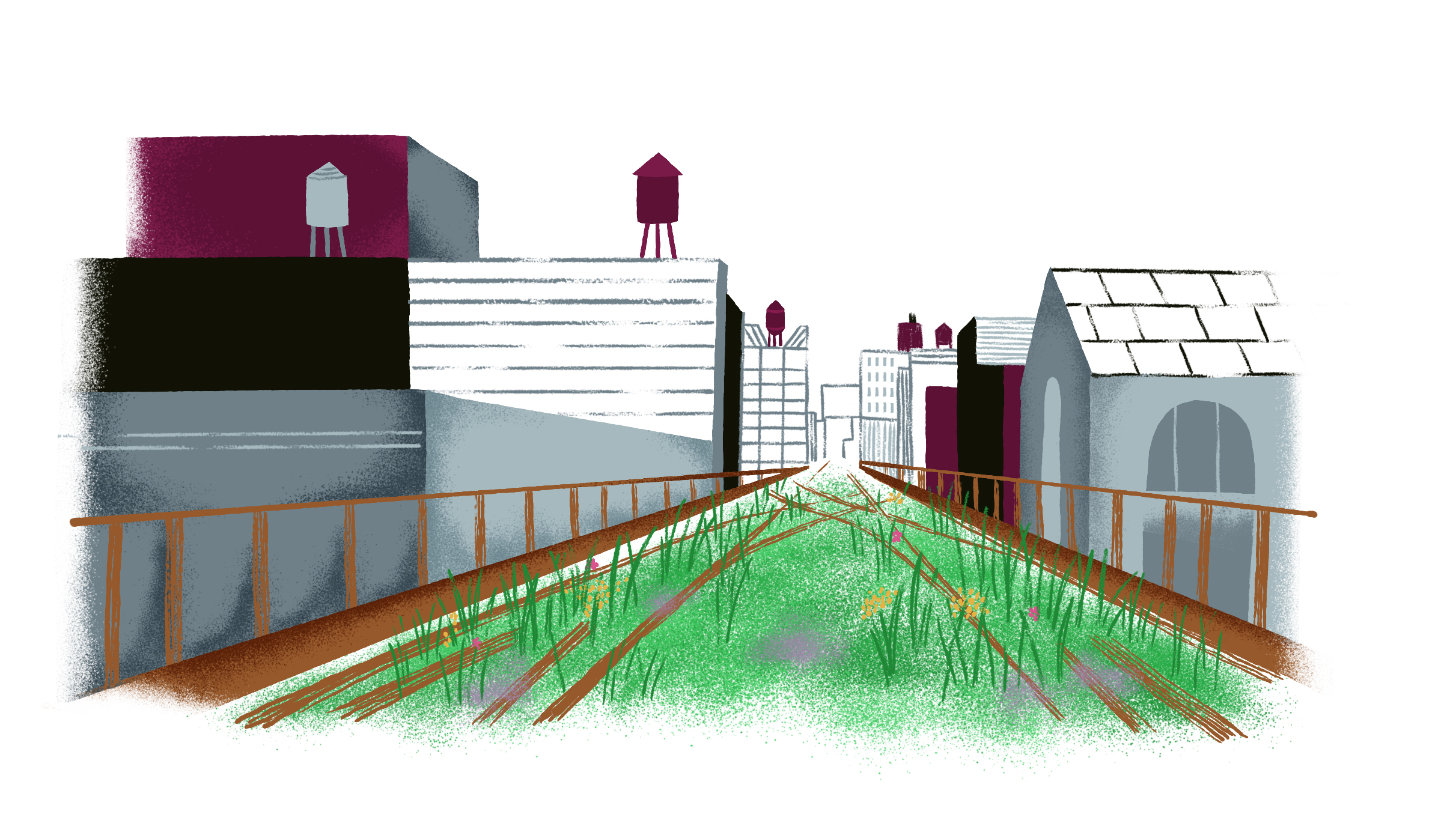 From a self-seeded landscape to a naturalistic design | The High Line