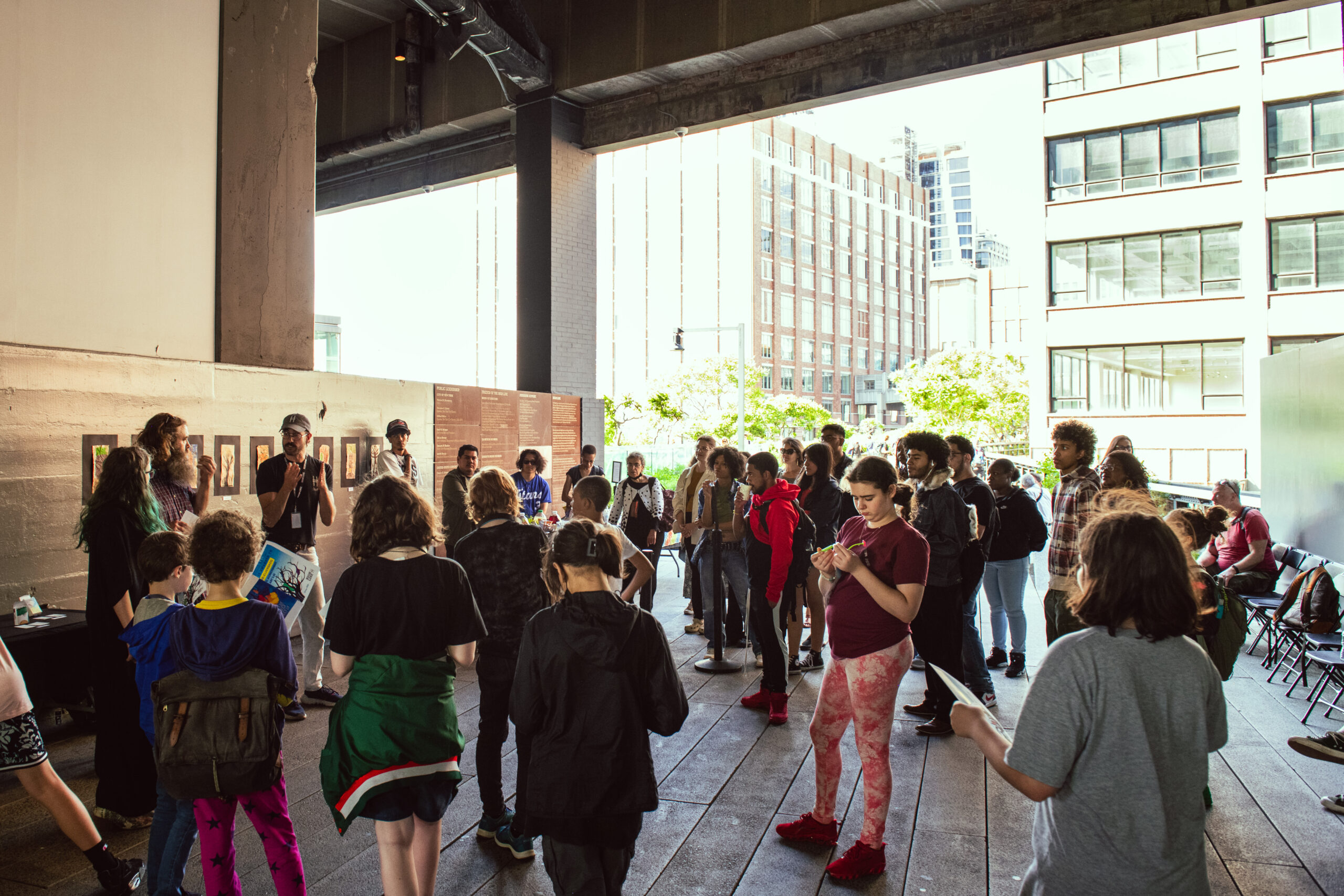 Quest to Learn CASA Plant ArtAfter School Program | The High Line
