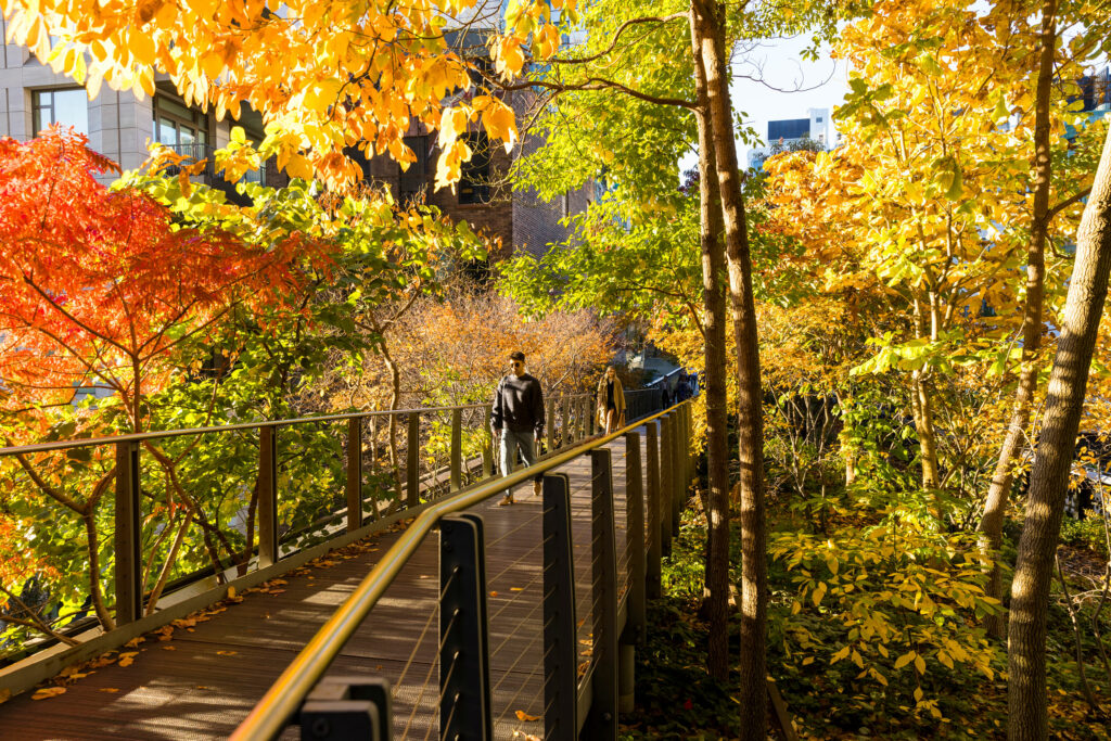 5 more reasons to love native trees | The High Line
