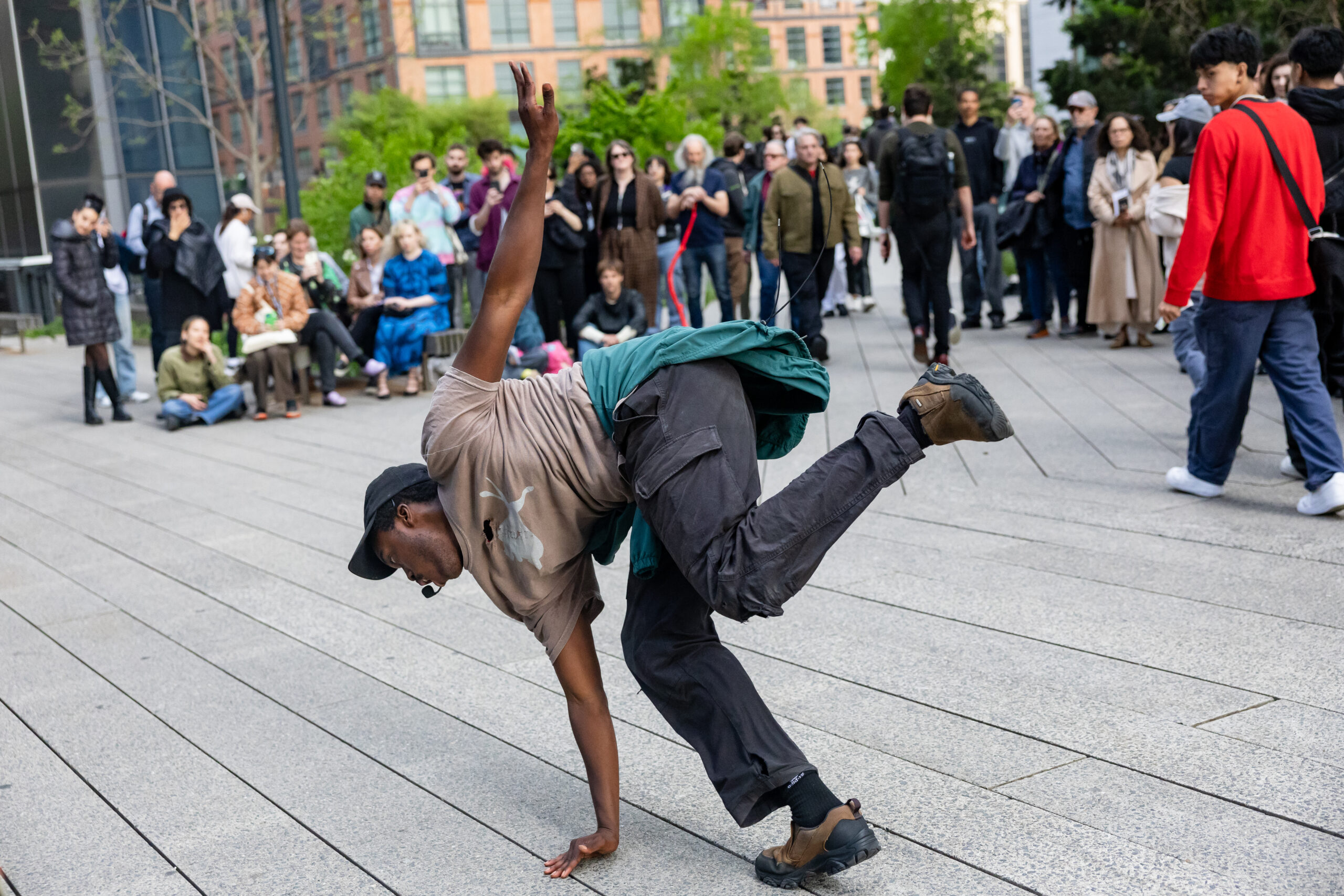 Die No Die (The High Line) | The High Line