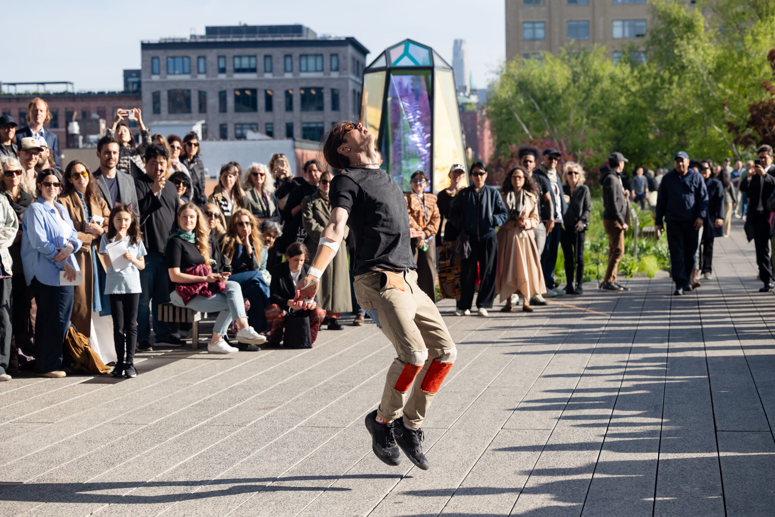 Die No Die (The High Line) | The High Line