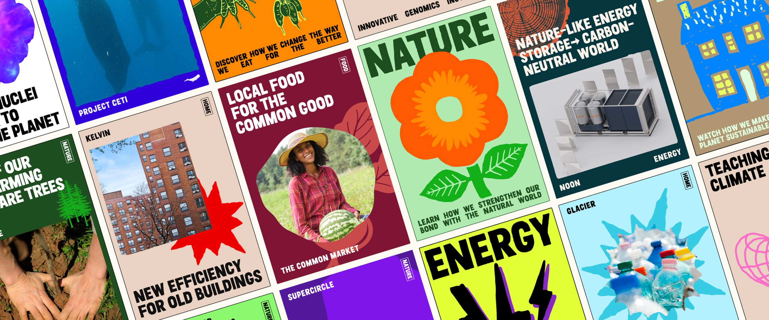 Climate Science Fair | The High Line