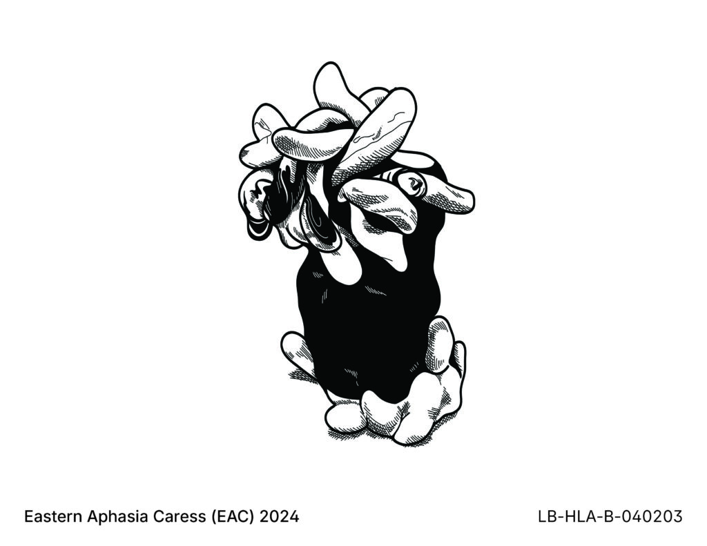 The Shape of Language: Kaela Mei-Chee Chambers on Eastern Aphasia ...