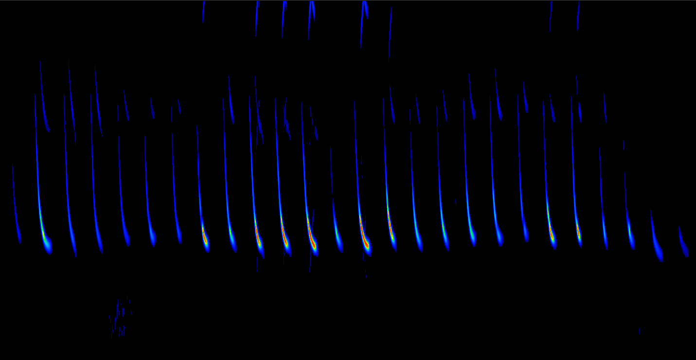 No Tricks, Just Treats: Bats are a Garden’s Best Friend | The High Line